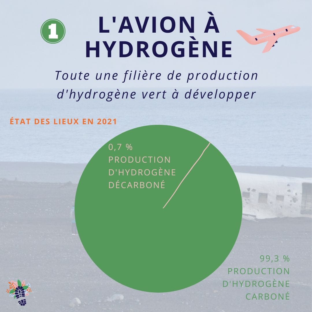 Avion écologique : futur proche ou utopie idéaliste
