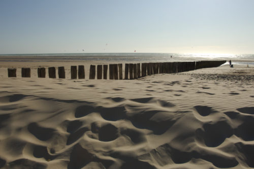 Berck-sur-mer et la baie d'Authie en 3 belles découvertes