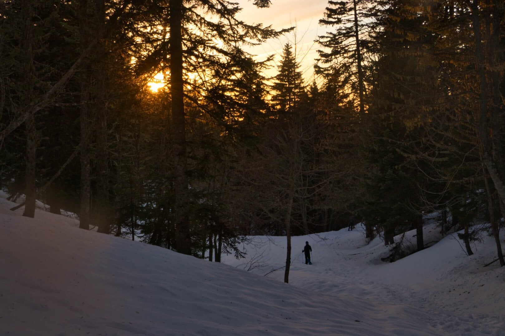 Randonnée raquettes à Autrans sur 2 jours | Guide complet