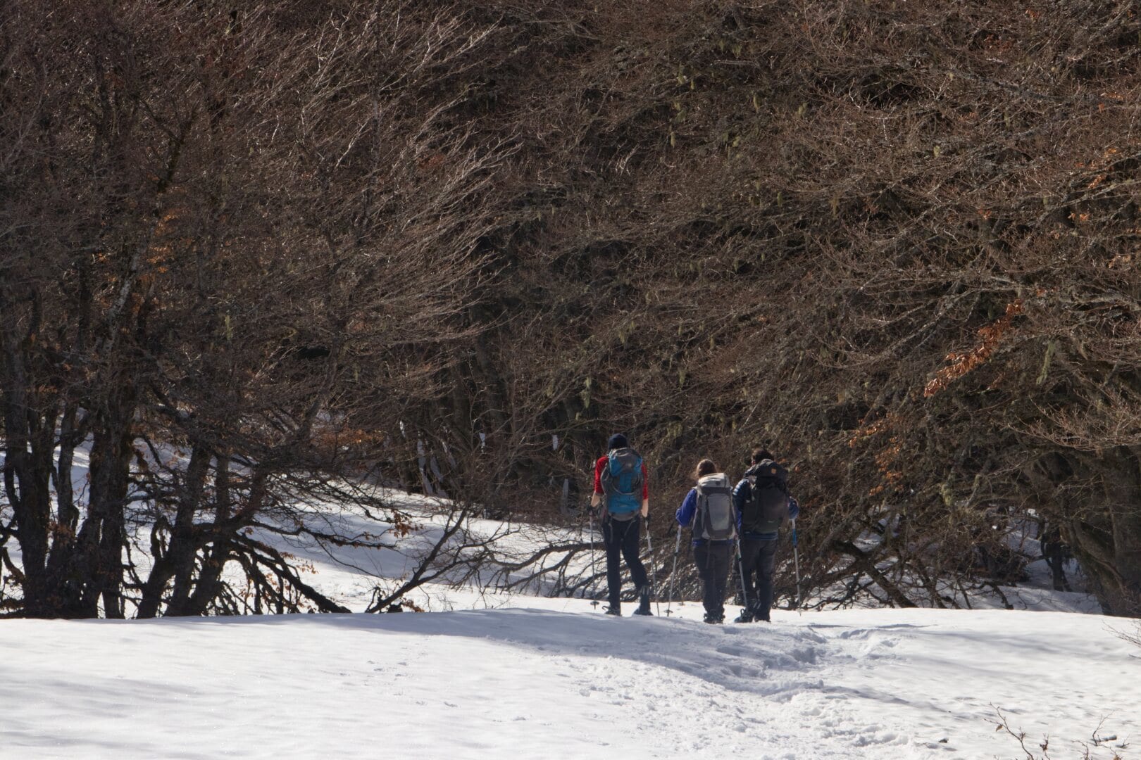 Randonnée raquettes à Autrans sur 2 jours | Guide complet