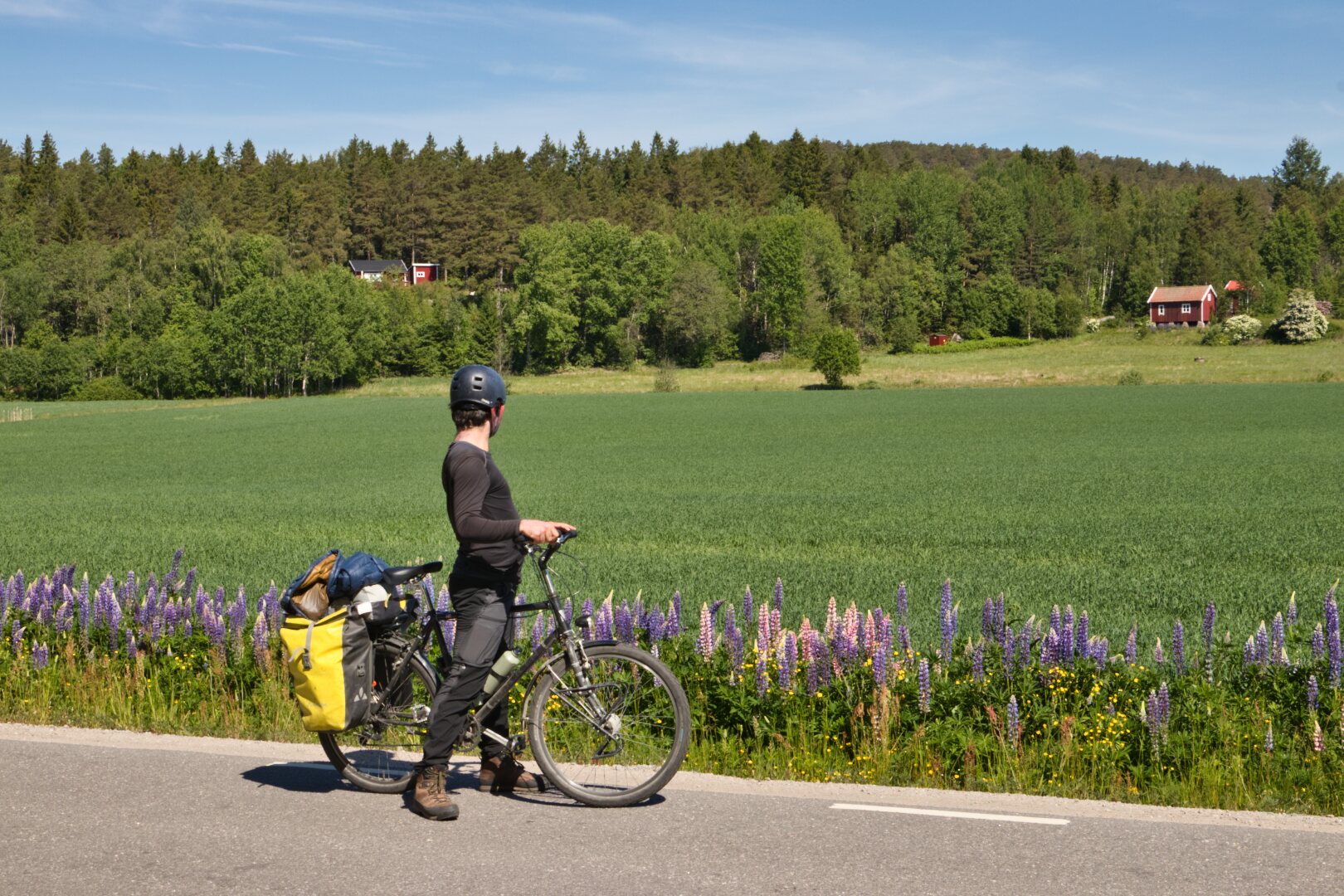 La Suède à vélo | Guide de voyage - L'empreinte baroudeuse